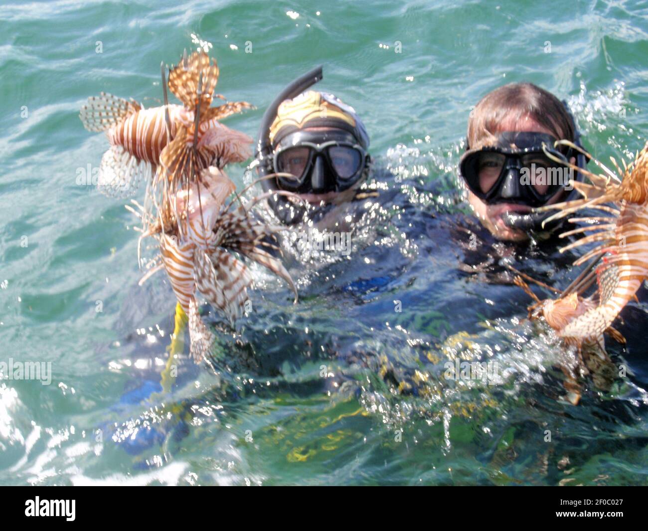 Juan Comendeiro and Manny Menendez with more lionfish they speared in ...