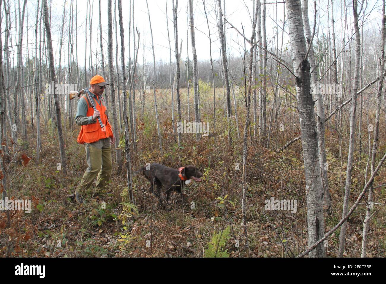 Dan Dessecker and Blu, his German short-haired retriever, walk at the ...
