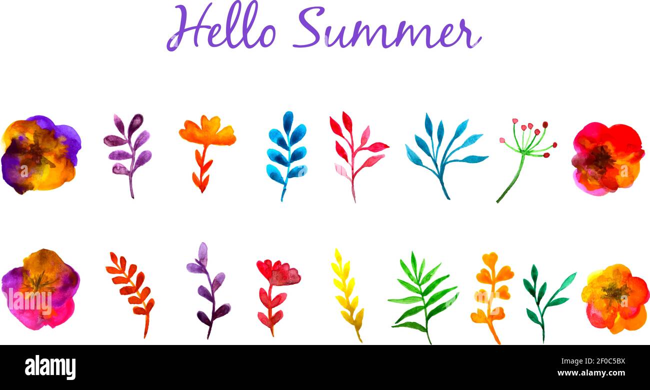 Beautiful bouquet flowers different Stock Vector Images - Alamy