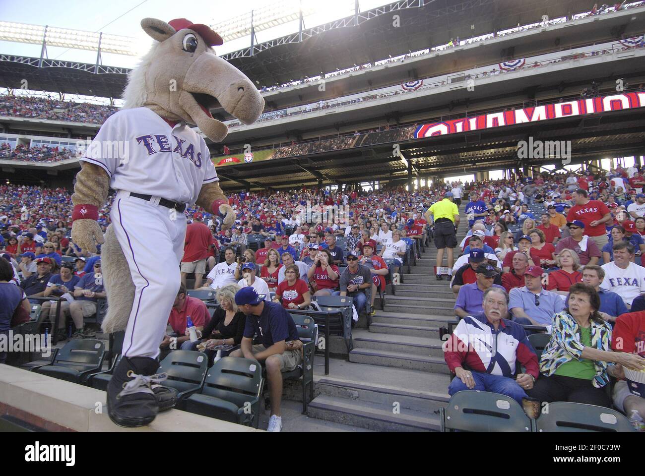 The Texas Rangers' mascot works the top of the dugout as the Rangers ...