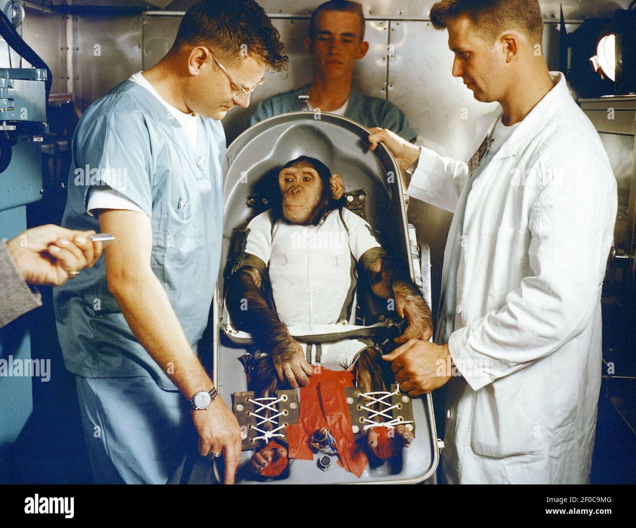 Hum human hum animal earth earth hi-res stock photography and images ...