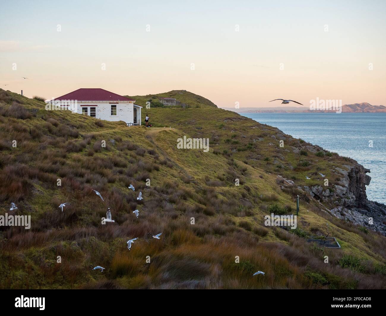 Cape Brett Lighthouse and Cape Brett Hut in Rawhiti New Zealand Stock ...
