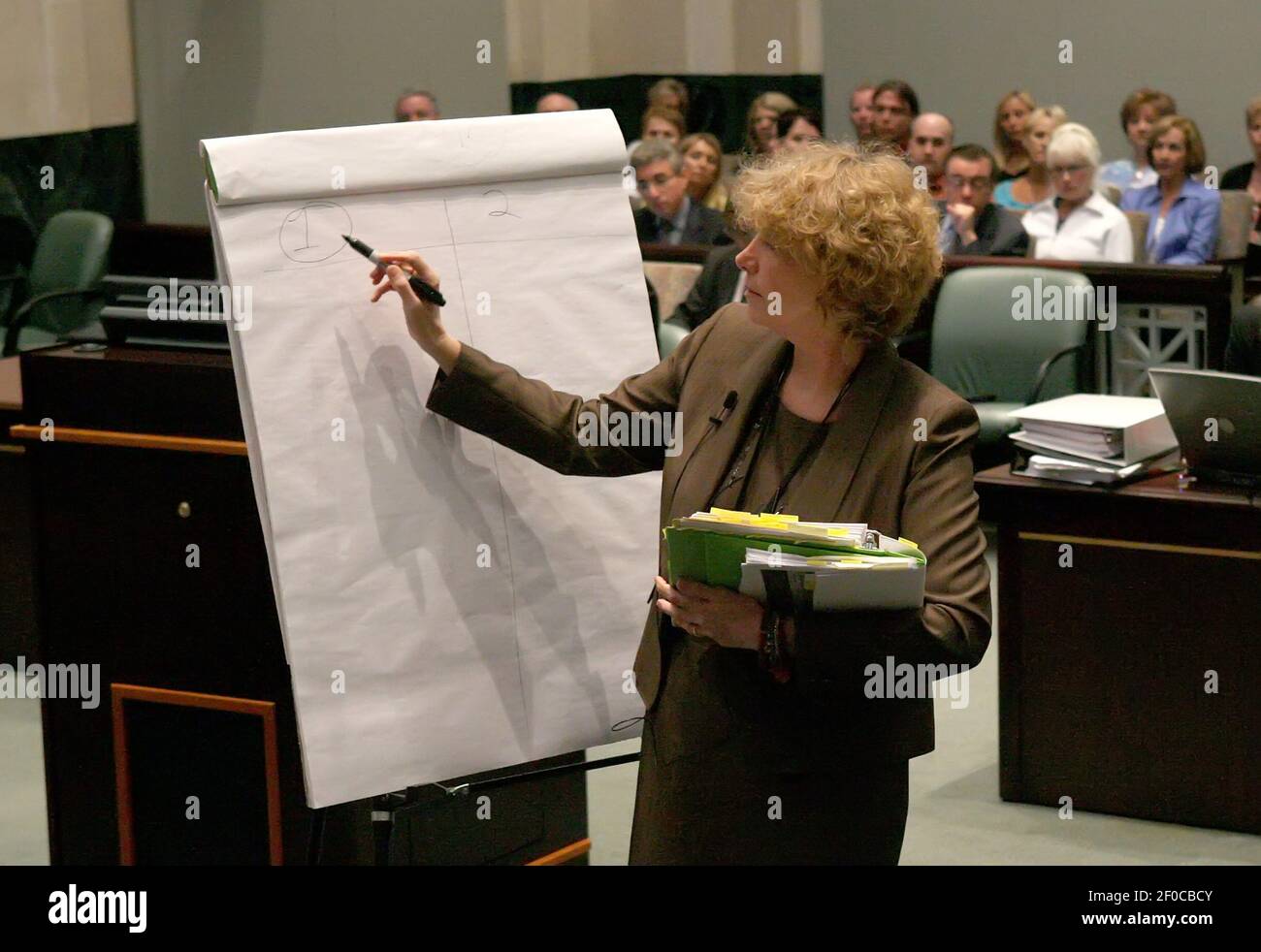 Defense counsel Dorothy Clay Sims draws a diagram during the 1st-degree ...