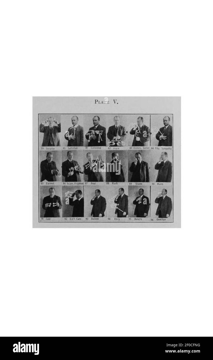 Plate 1918 hi-res stock photography and images - Alamy