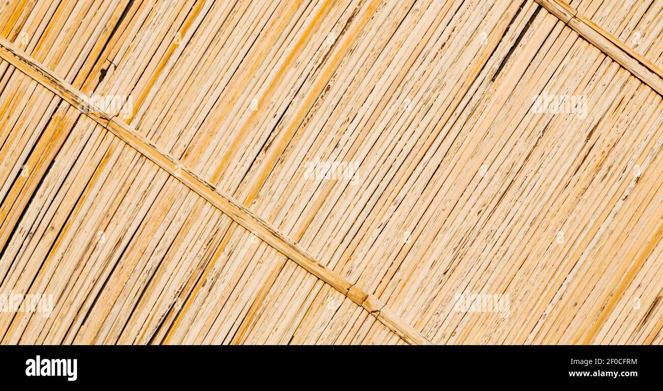In oman abstract texture of a bamboo wall background Stock Photo - Alamy