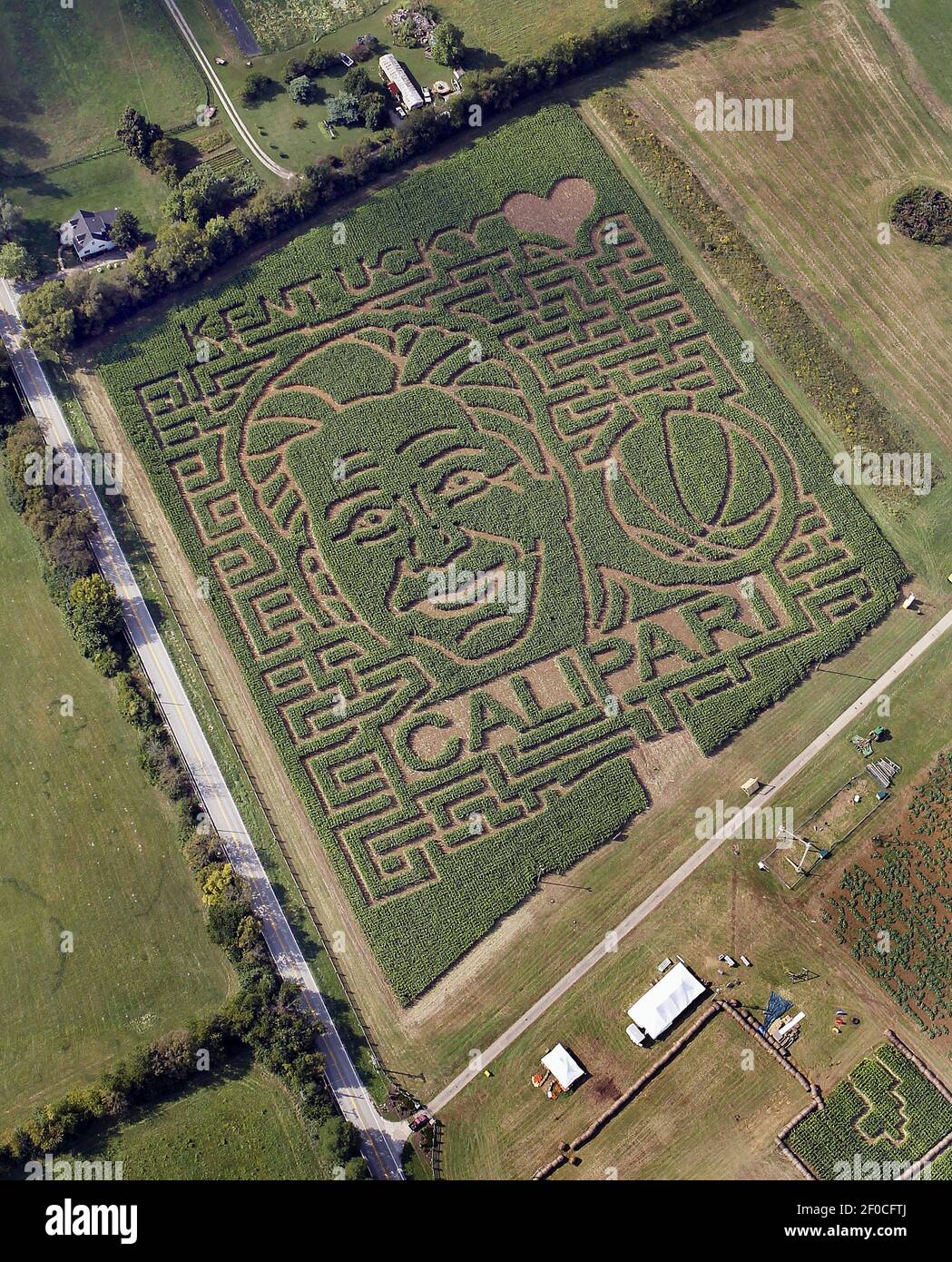 In this aerial view, a corn maze of John Calipari can be seen on the ...