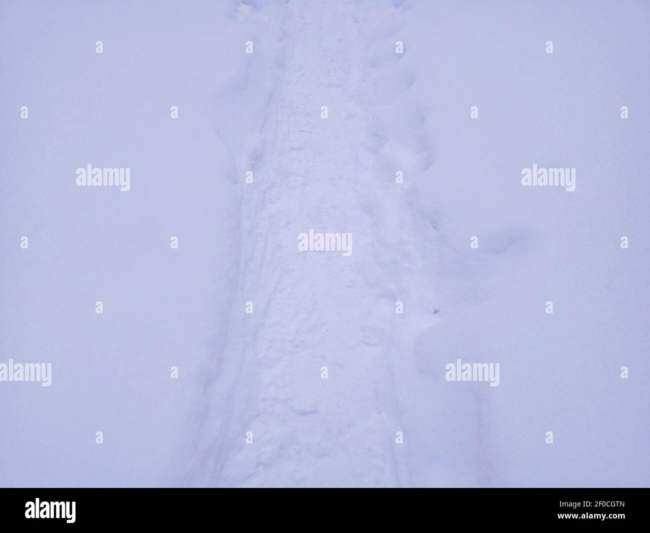 Snow-covered trail. The winter track is covered with snow. Trail in the ...