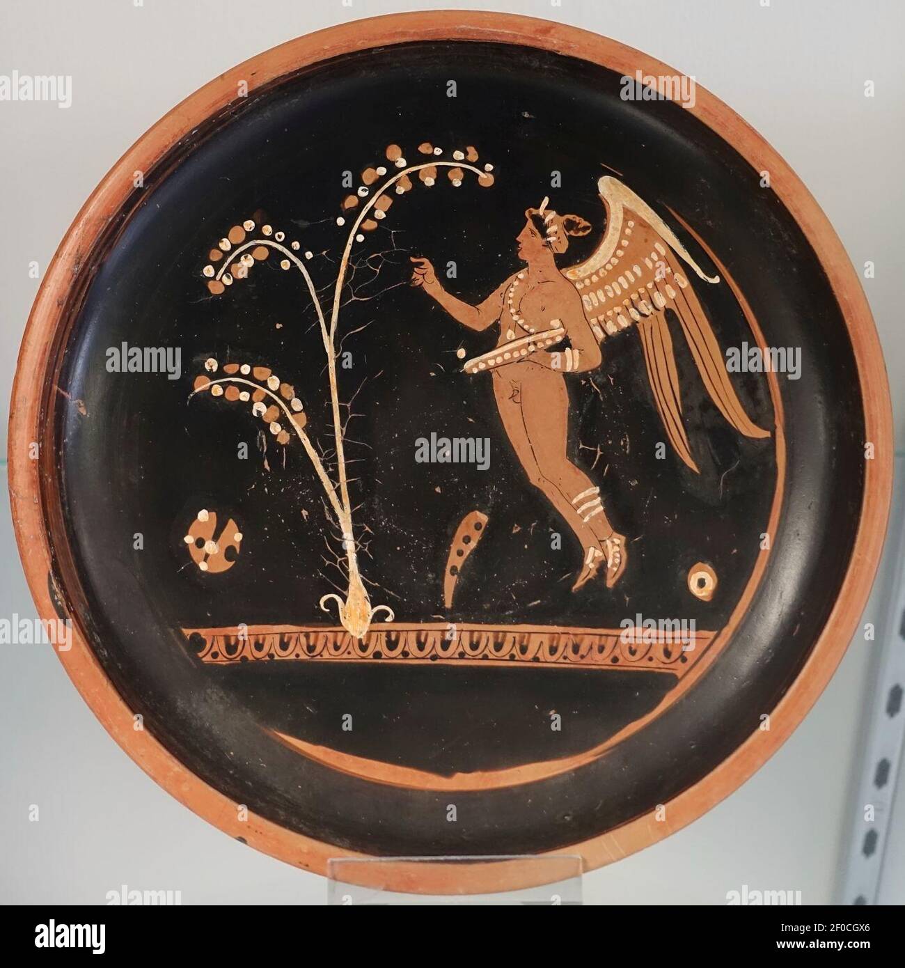 Plate with winged Eros and tree, Apulia, 360-350 BC Stock Photo - Alamy