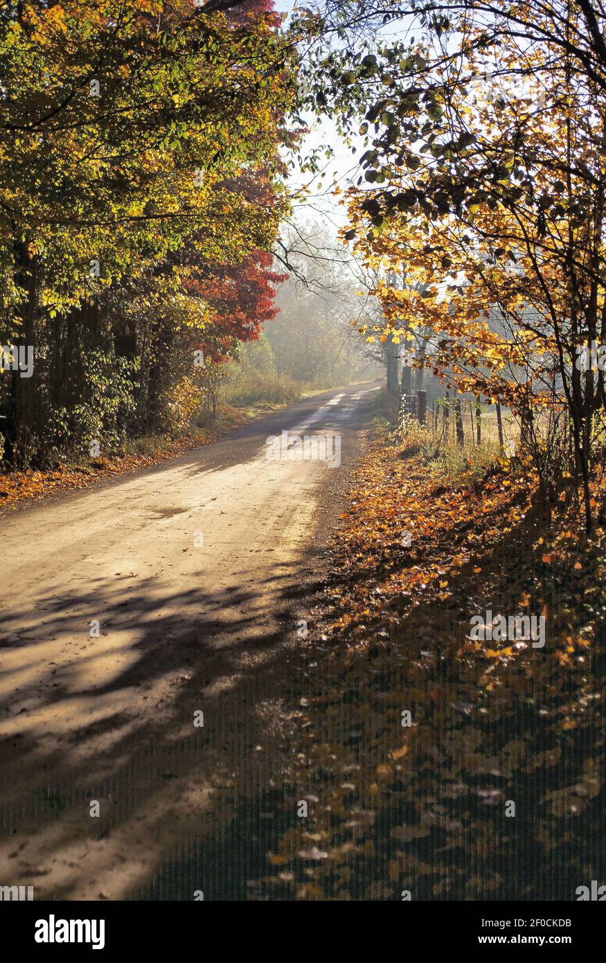 Empty mansfield road hi-res stock photography and images - Alamy