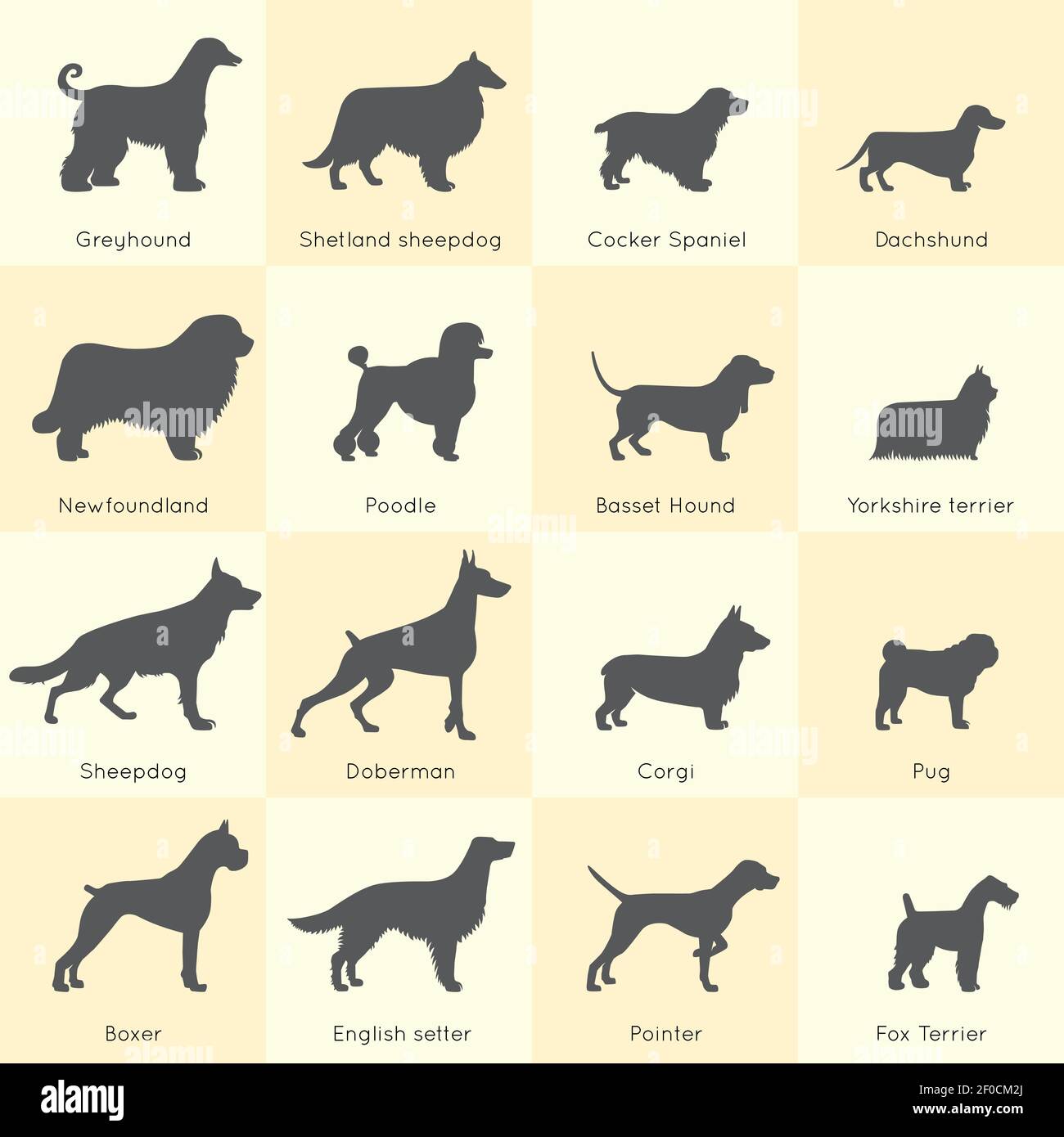 Silhouettes of different dogs breeds icon set with detailed description ...