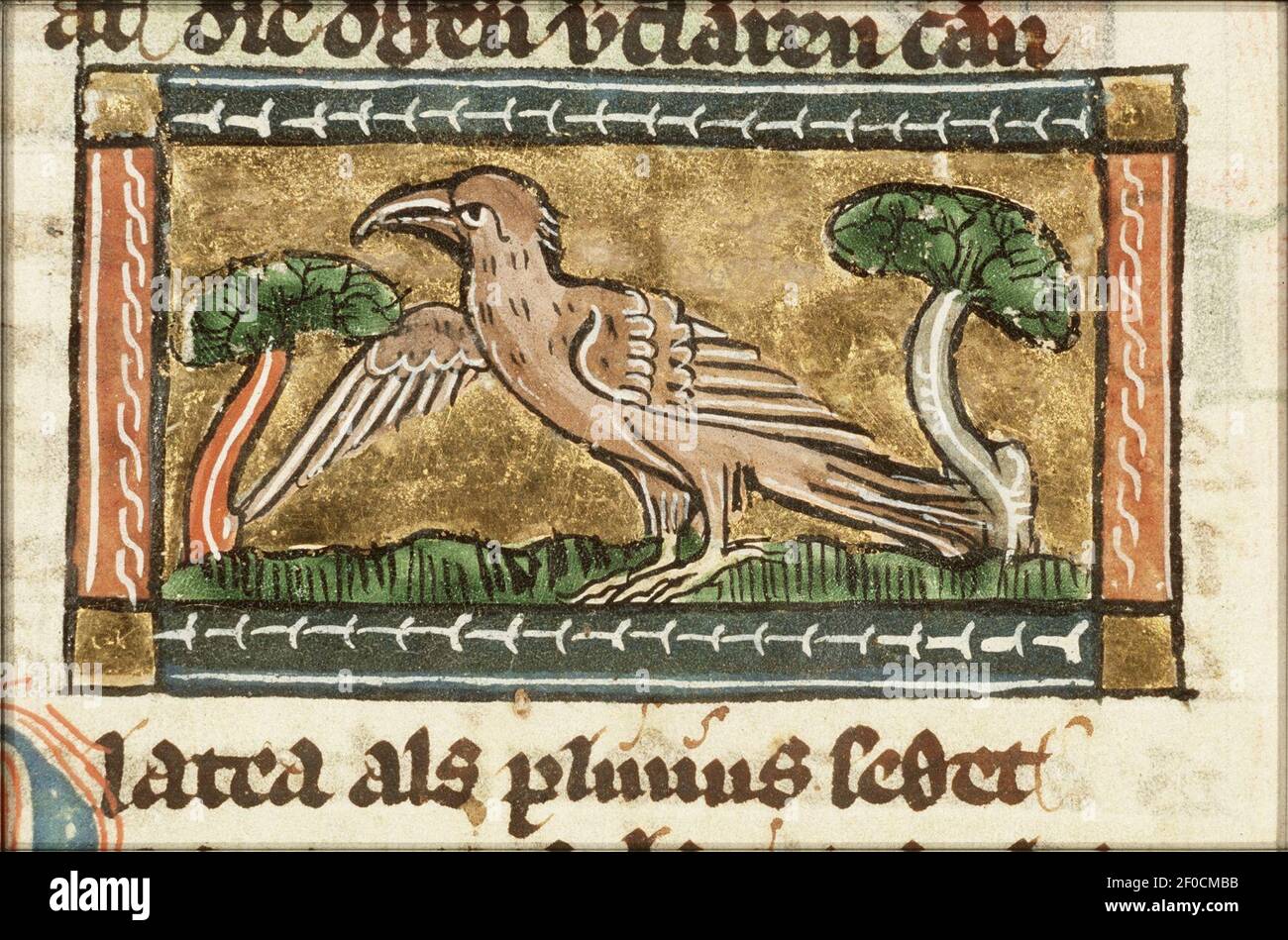 Platea - Der naturen bloeme - Jacob van Maerlant - KB KA 16 - 098r b1 ...