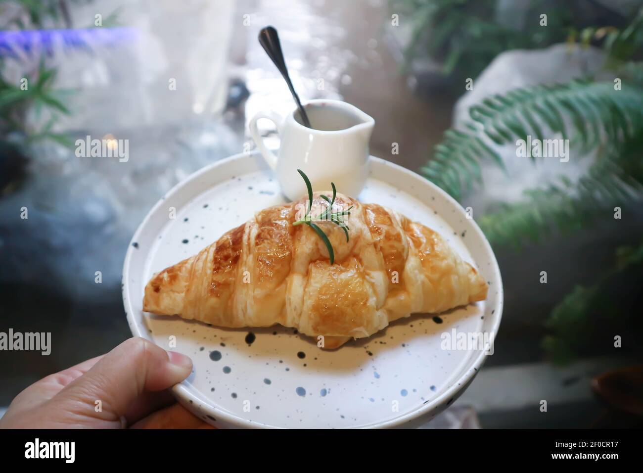 croissant , French croissant or French bread and dip or syrup Stock ...