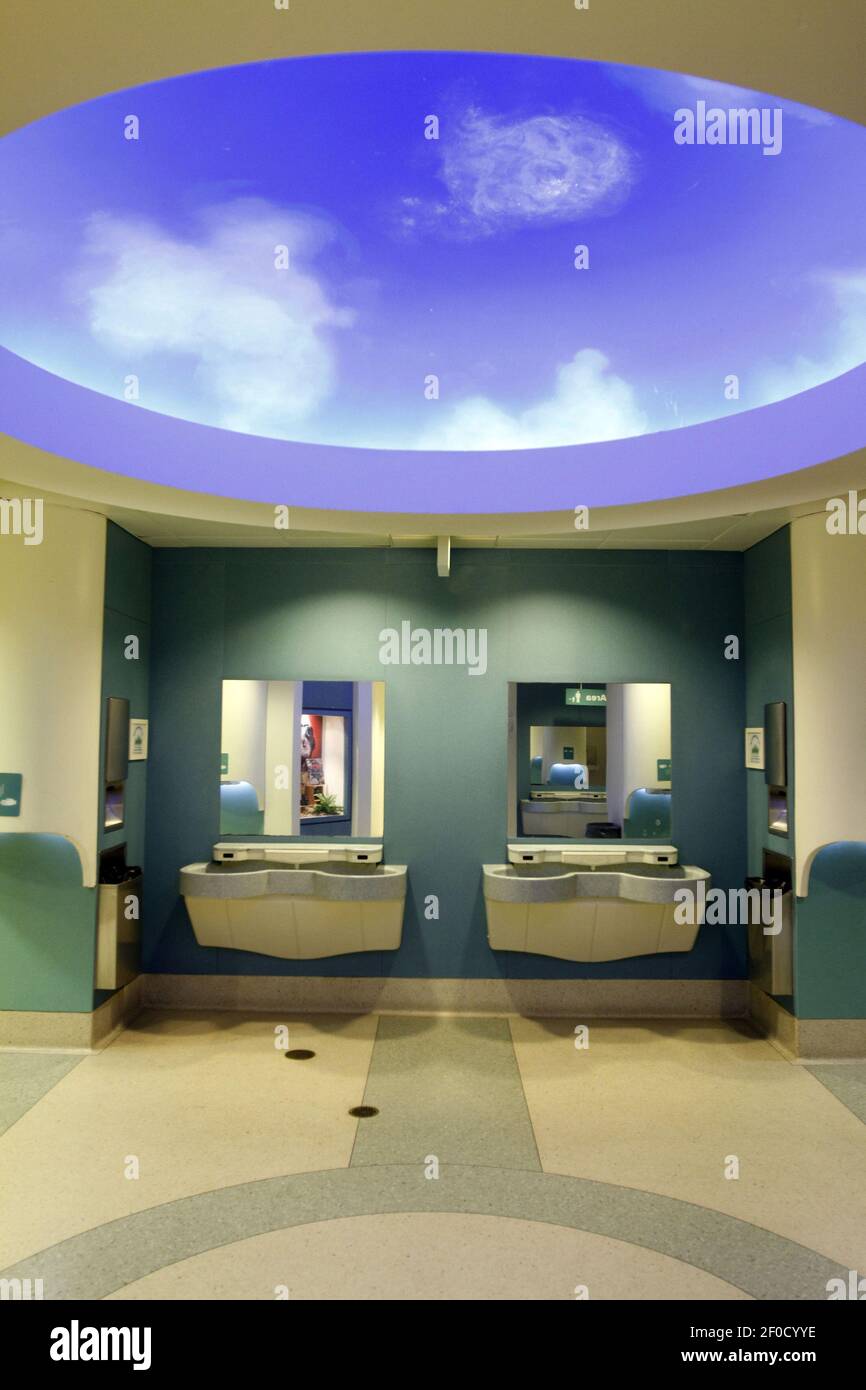 The Field Museum's bathrooms have been nominated for America's Best ...