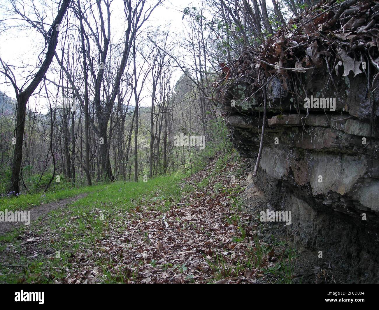 The Bluestone Turnpike is a trail that follows the pretty Bluestone ...
