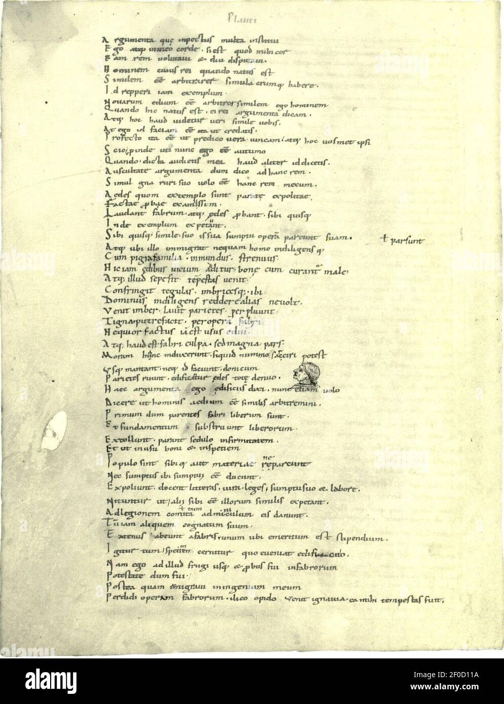 Plautus hi-res stock photography and images - Alamy