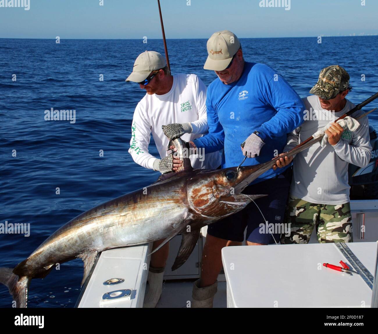John Barfield, from left, Bobby Boyle and Jeff Walls pull a swordfish ...
