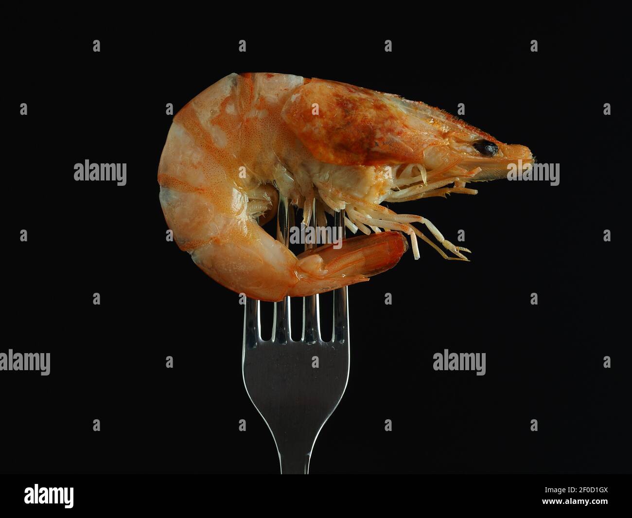 Prawn with fork hi-res stock photography and images - Alamy