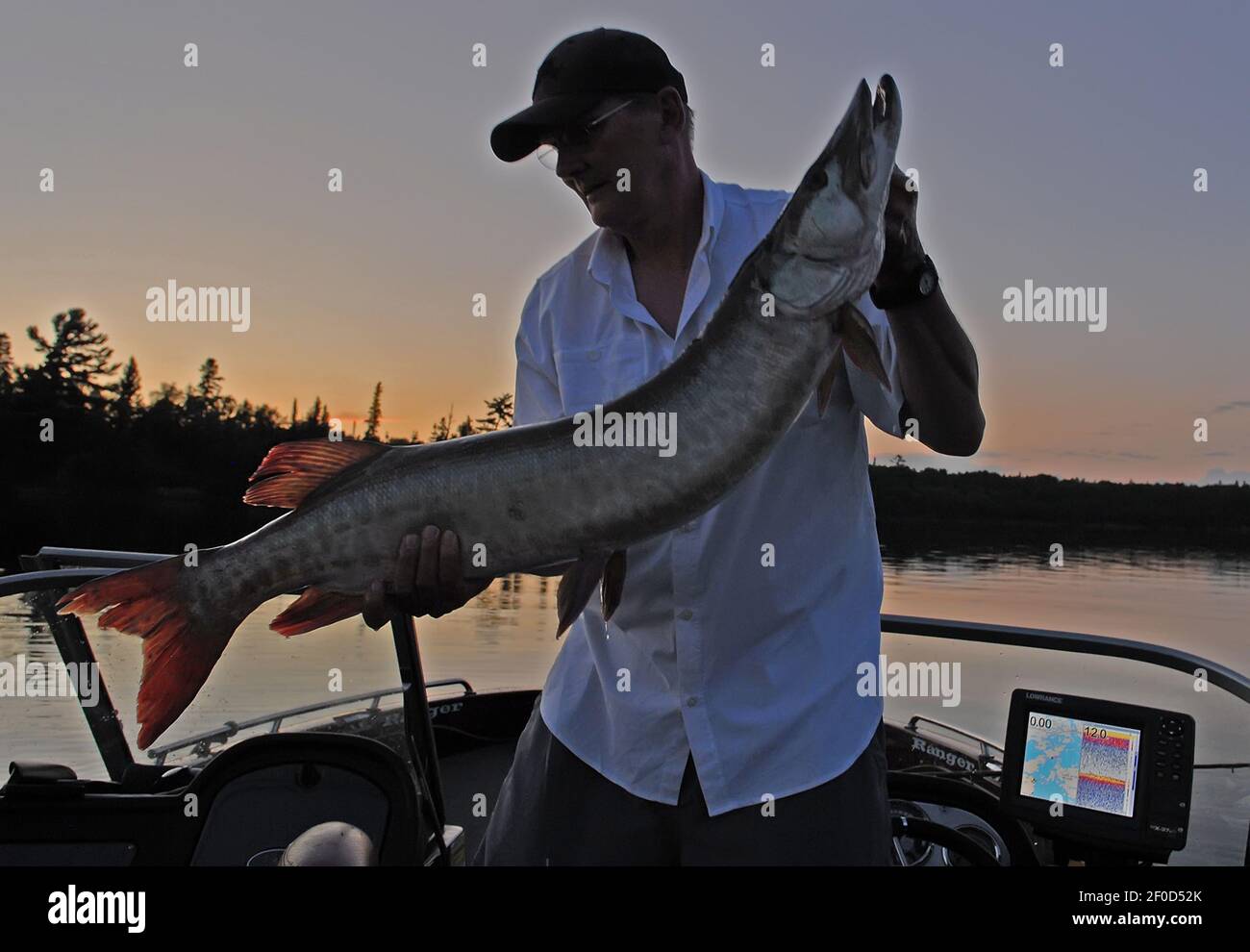 Muskie fish hi-res stock photography and images - Alamy