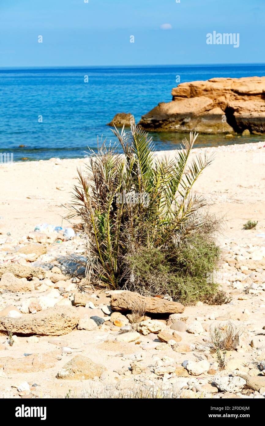 In oman coastline sea ocean gulf rock and beach relax near sky Stock ...