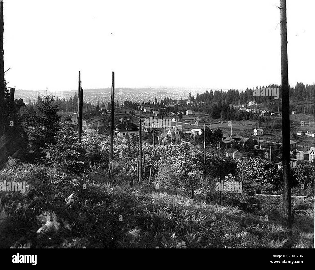 Magnolia district Black and White Stock Photos & Images - Alamy