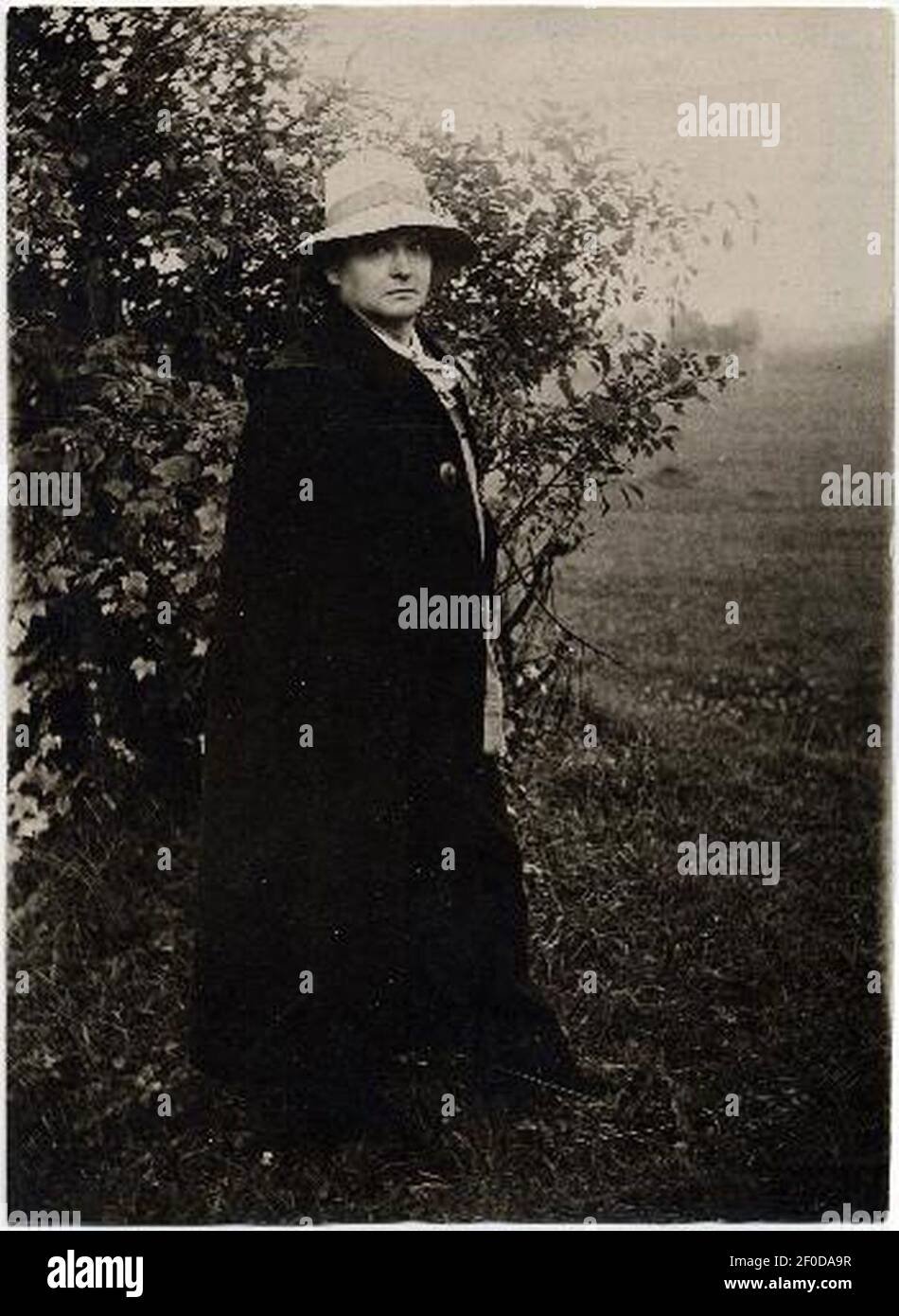 Vilis hi-res stock photography and images - Alamy