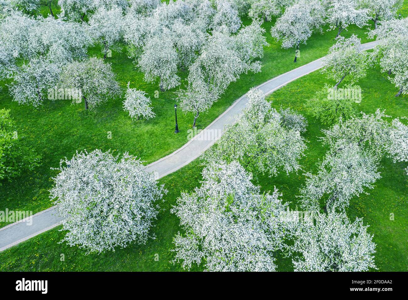 Blooming pathway hi-res stock photography and images - Alamy