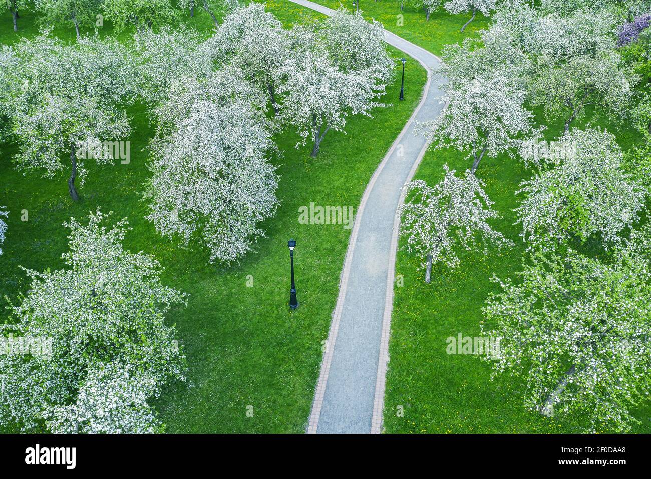 Path through orchard hi-res stock photography and images - Alamy