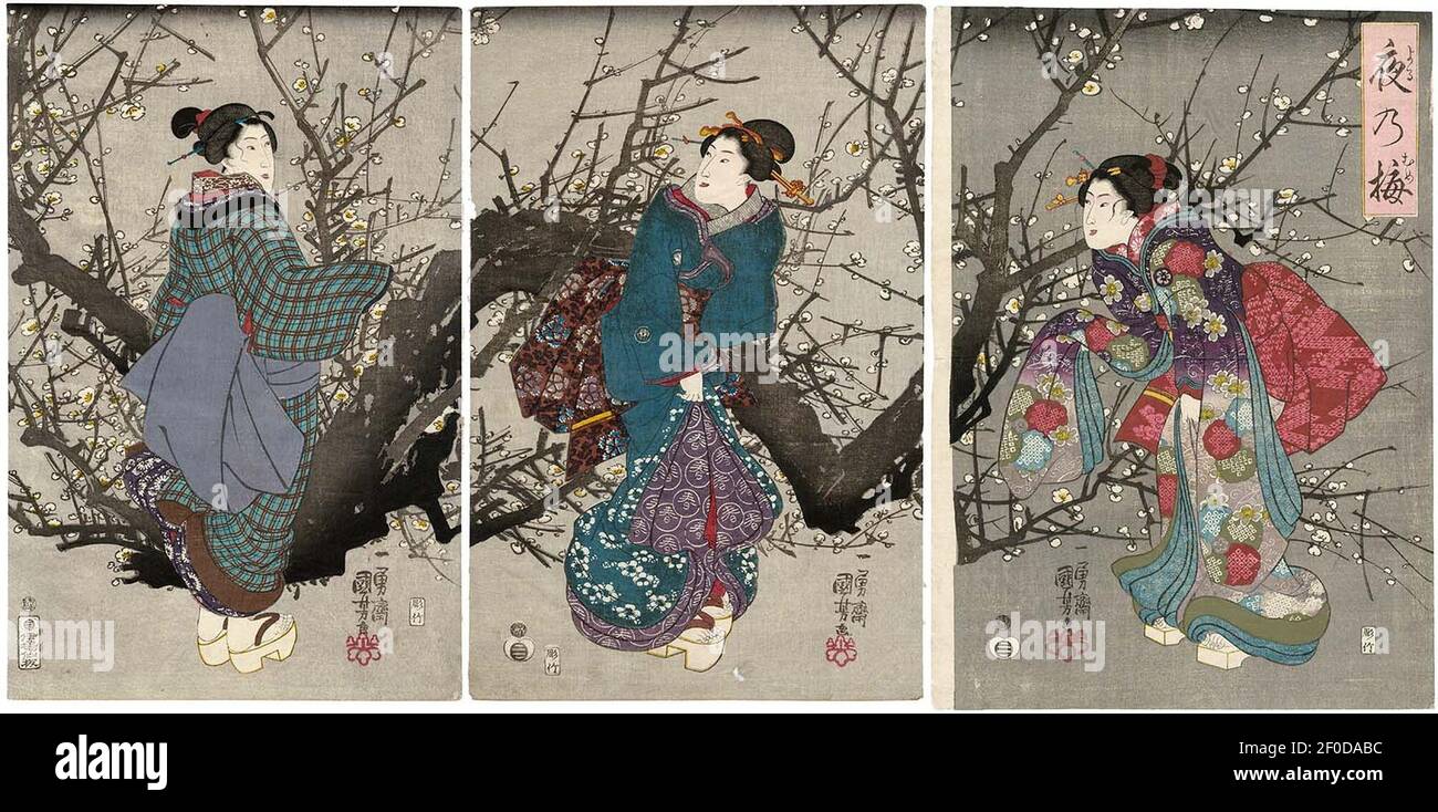 Yoru Cut Out Stock Images & Pictures - Alamy