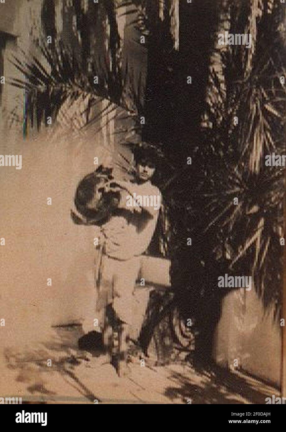 Pluschow, Wilhelm von (1852-1930) - Capri - Edoardo Stock Photo - Alamy