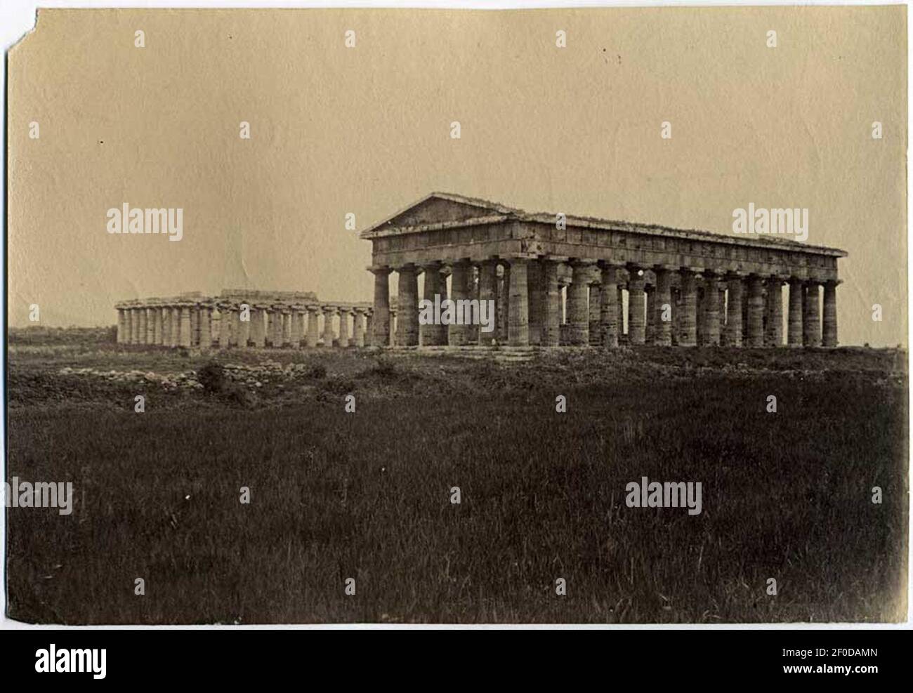Pluschow, Wilhelm von (1852-1930) - n. 0951a - Paestum Stock Photo - Alamy