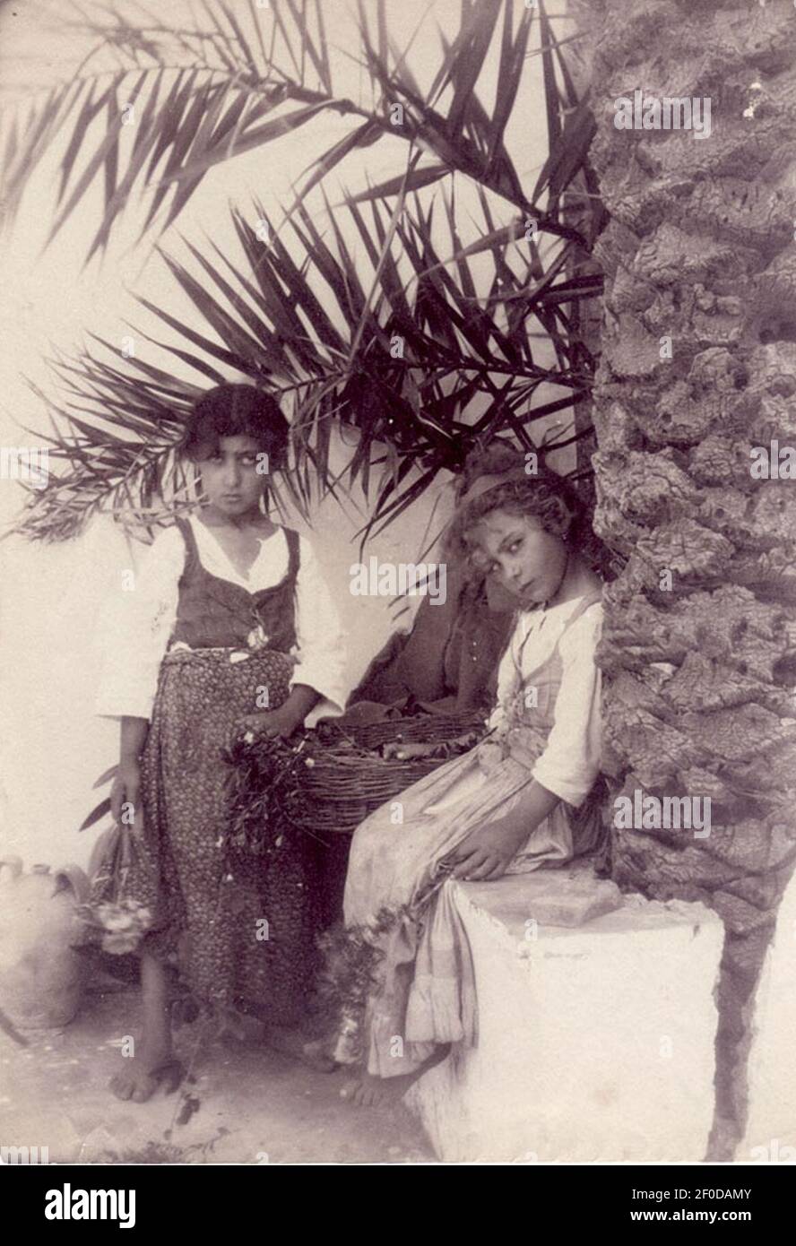 Pluschow, Wilhelm von (1852-1930) - n. 0701 recto - Capri Stock Photo ...