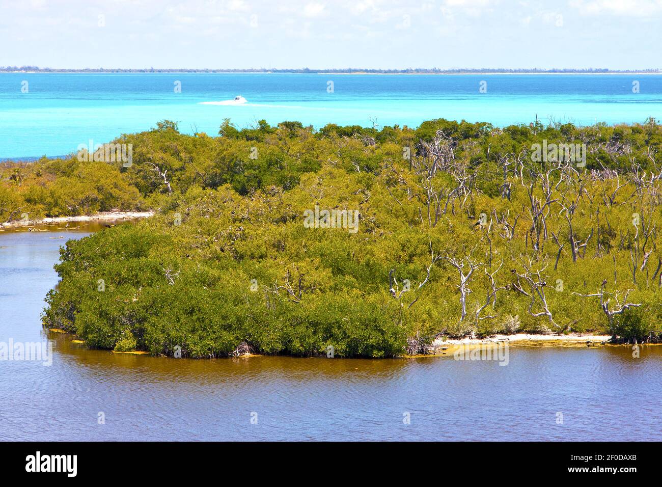 Isla contoy sand mexico froath wave Stock Photo - Alamy