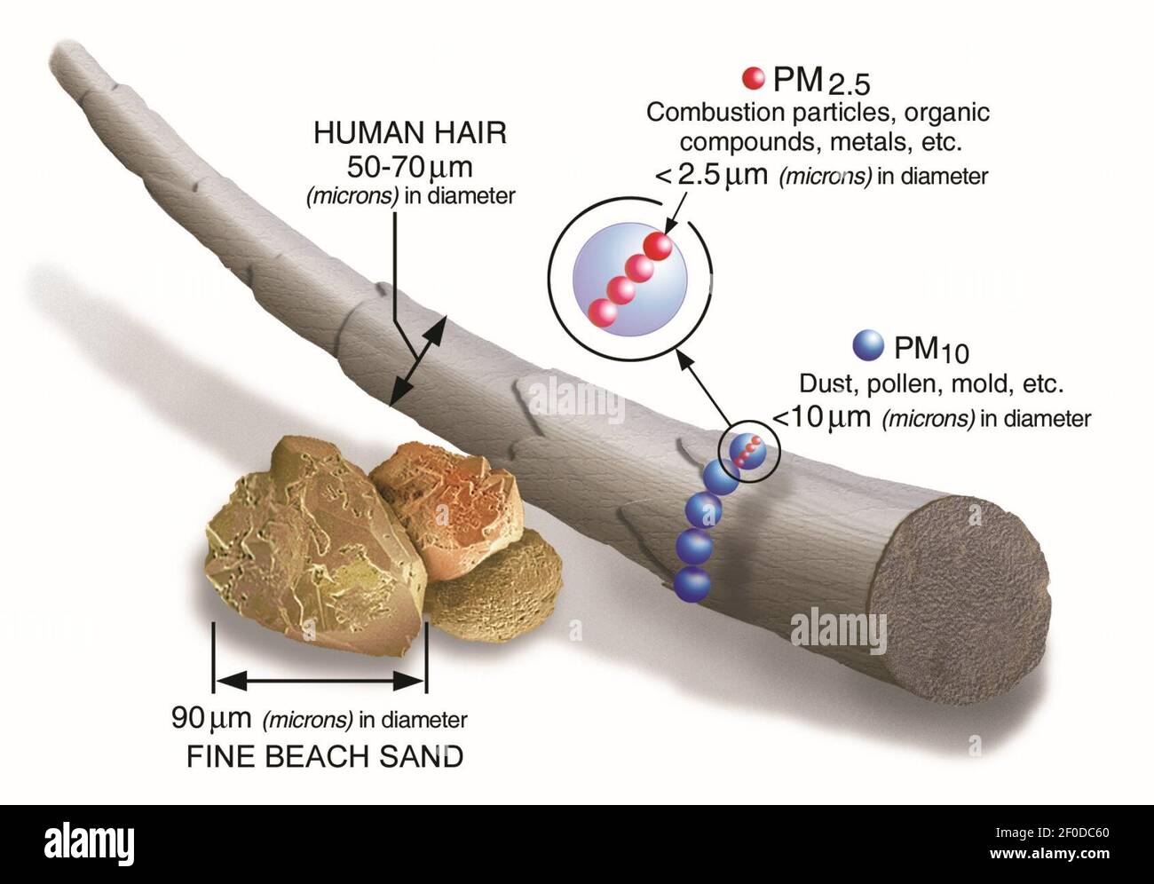 PM and a human hair Stock Photo - Alamy