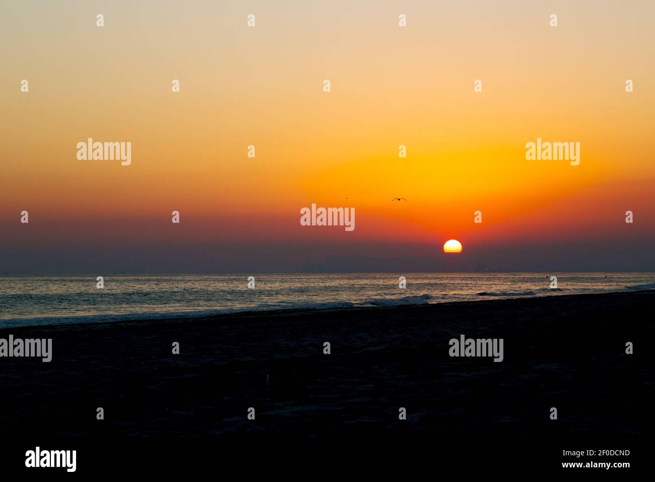 In oman the abstract sun fall down and blur sky composition Stock Photo ...
