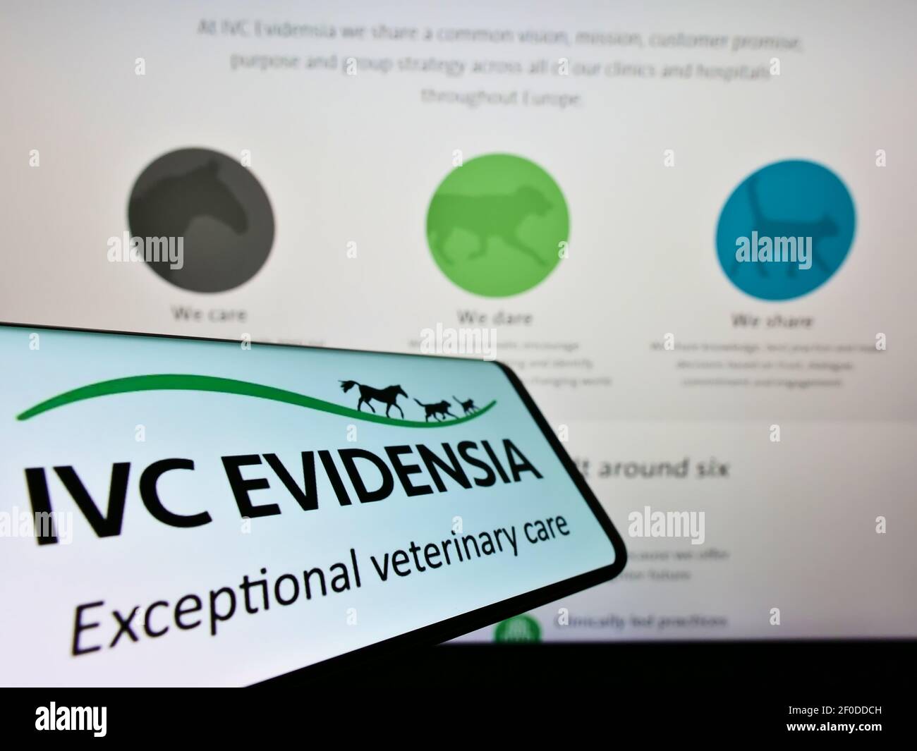 Veterinary services hi-res stock photography and images - Alamy