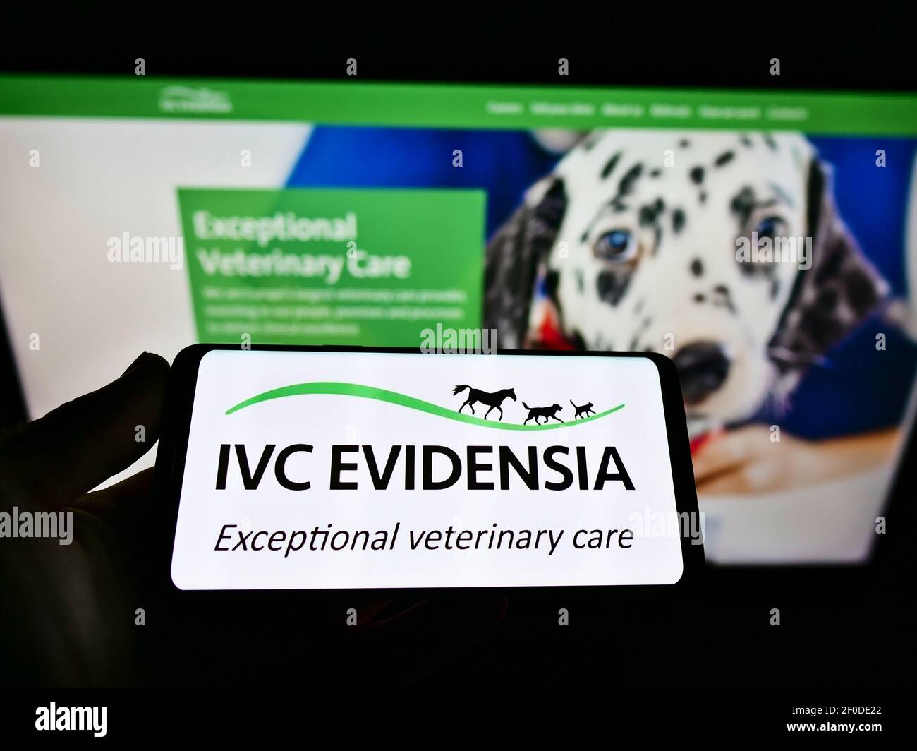 Veterinary services hi-res stock photography and images - Alamy