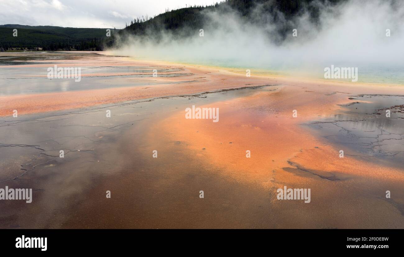 Mineral Water Grand Prismatic Spring Midway Geyser Basin Yellowstone ...