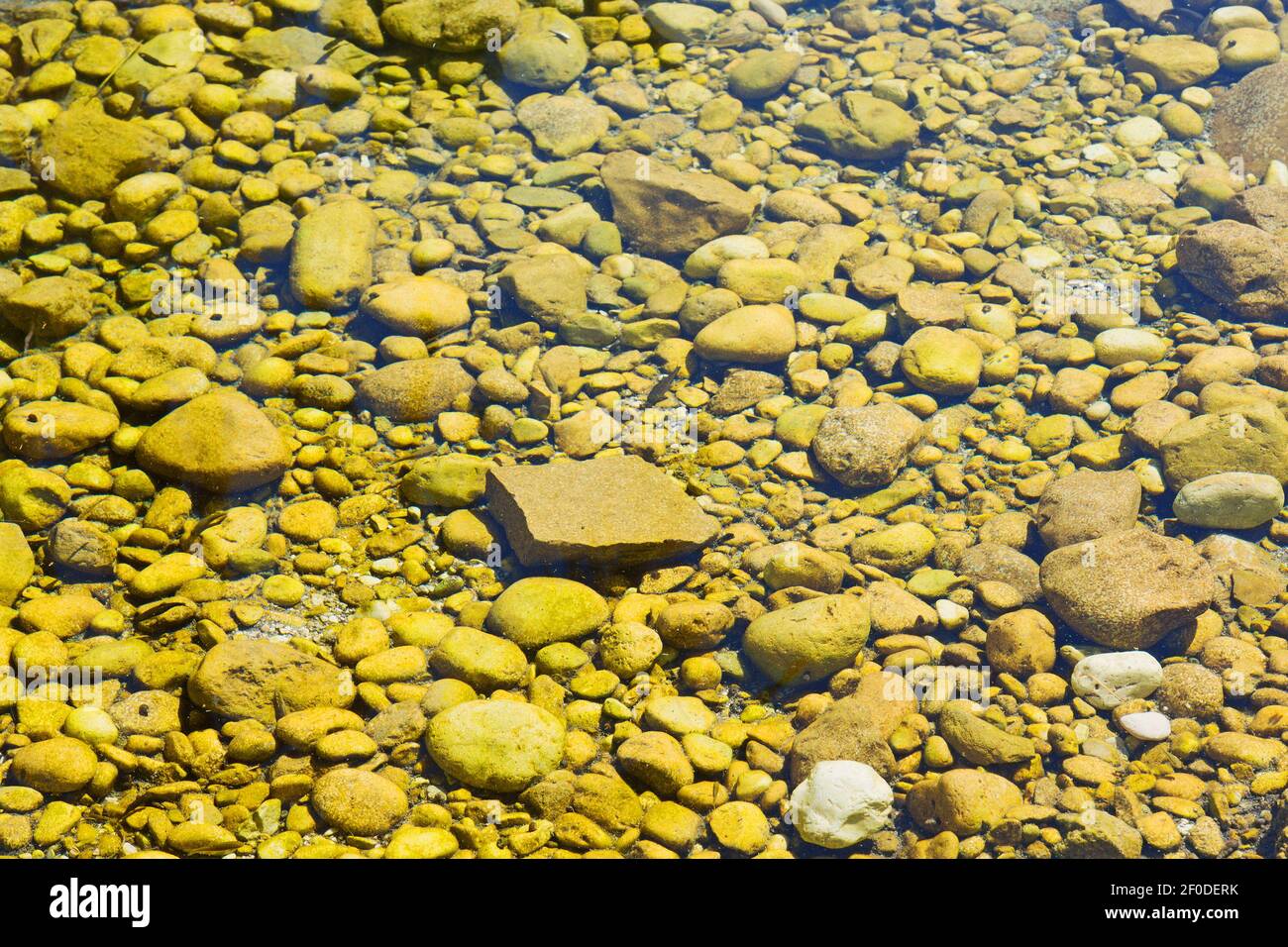 In oman old river and stone Stock Photo - Alamy