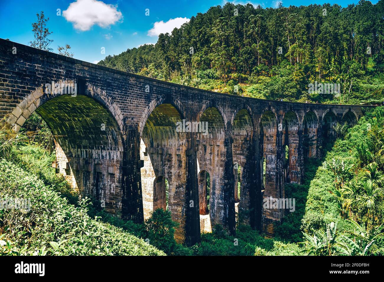 Demodara hi-res stock photography and images - Alamy