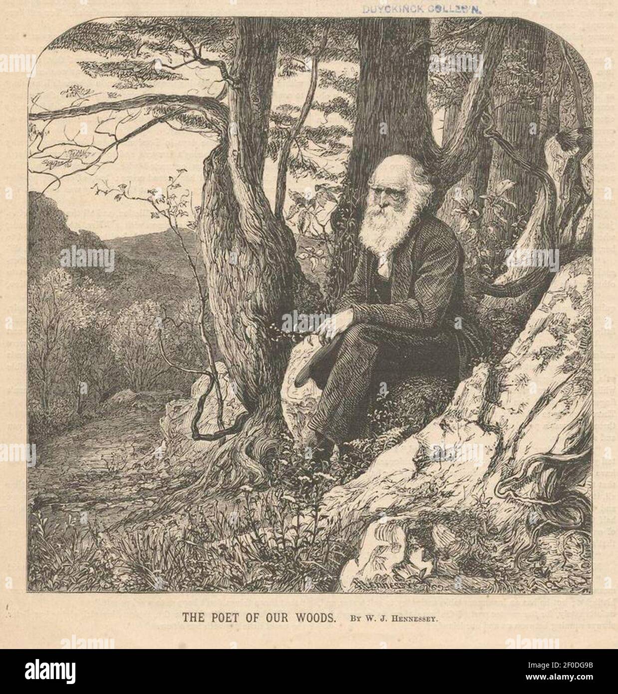 Poet woods hi-res stock photography and images - Alamy