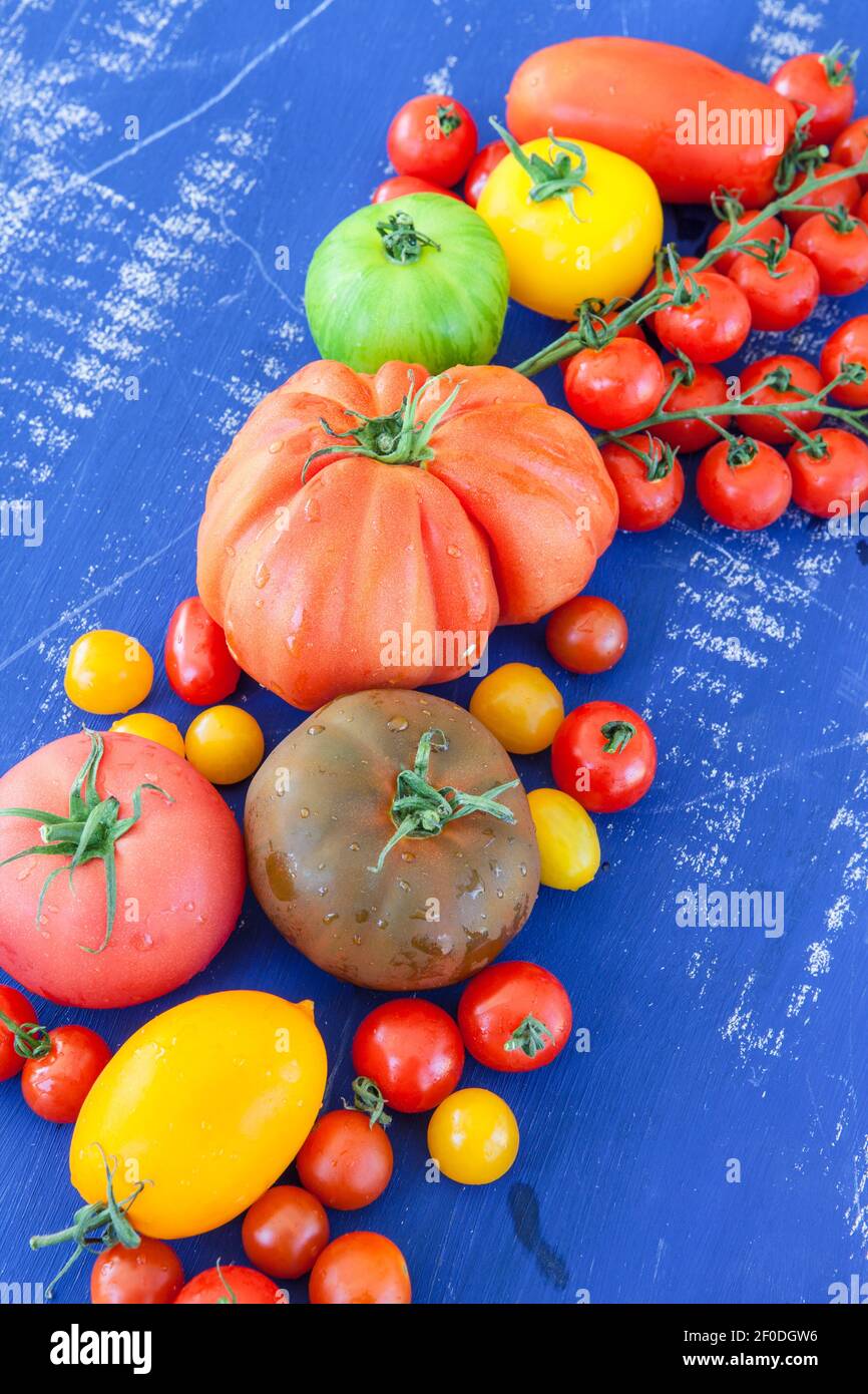Coloured tomatoes hi-res stock photography and images - Alamy
