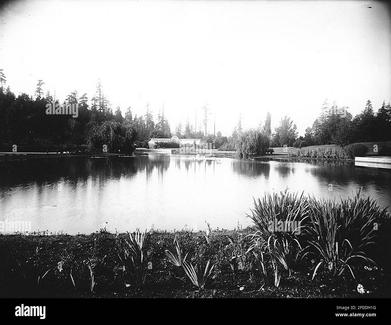 Point Defiance Park, Tacoma, Washington, ca 1910 (BAR 117 Stock Photo ...
