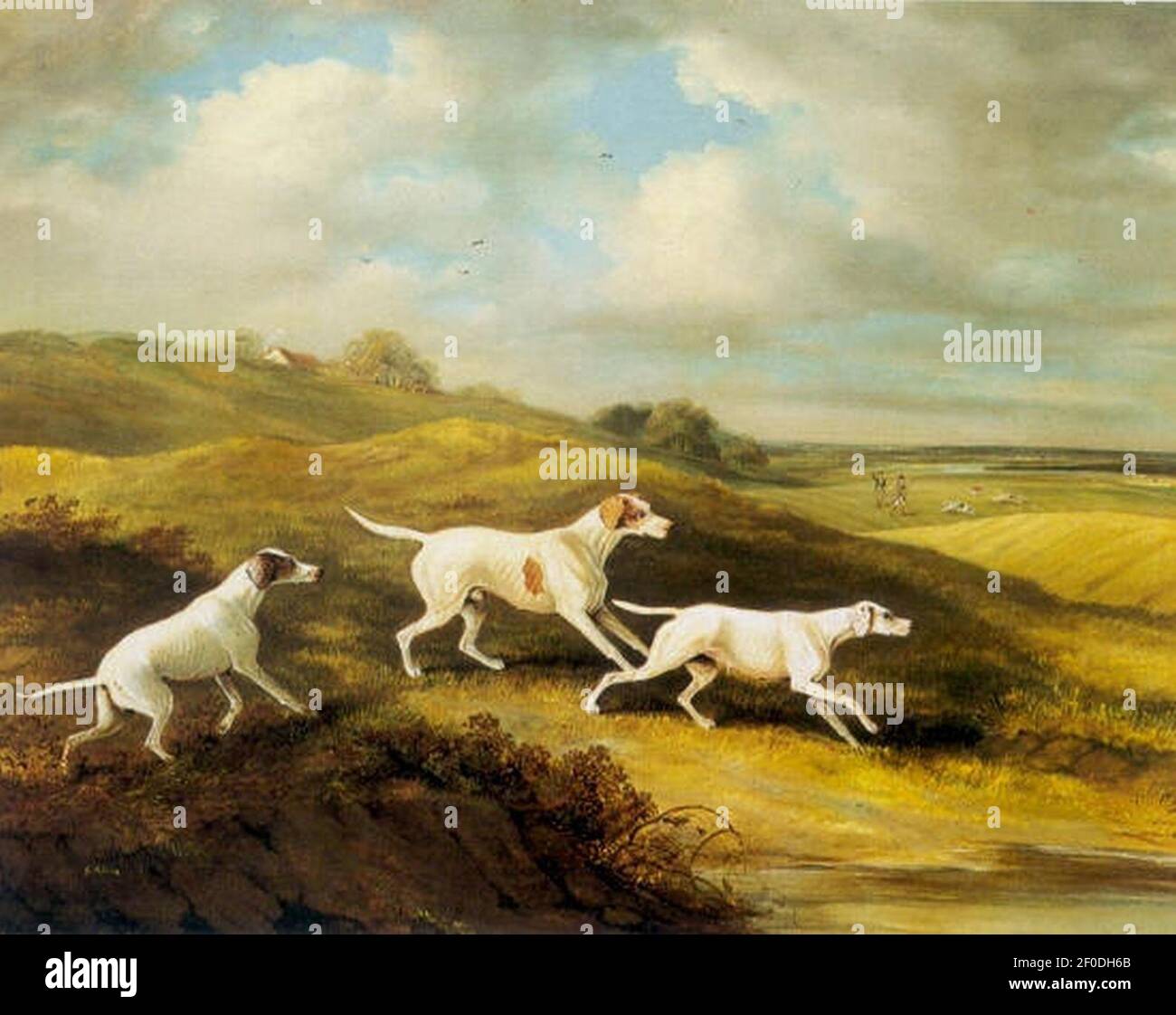 Pointer in Landscape Samuel Alken Stock Photo - Alamy
