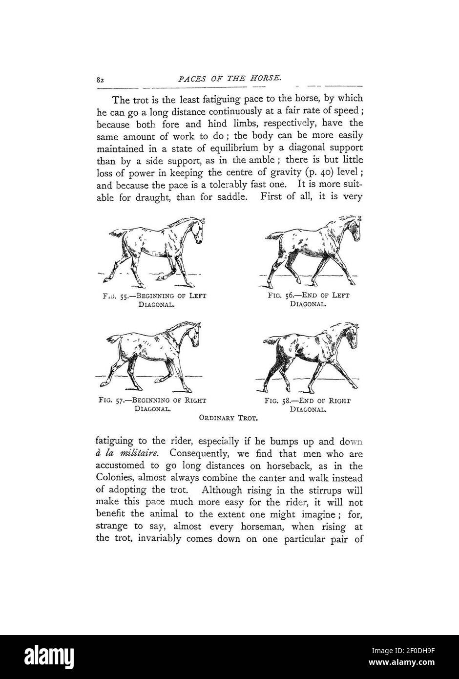Points of reference Cut Out Stock Images & Pictures - Alamy