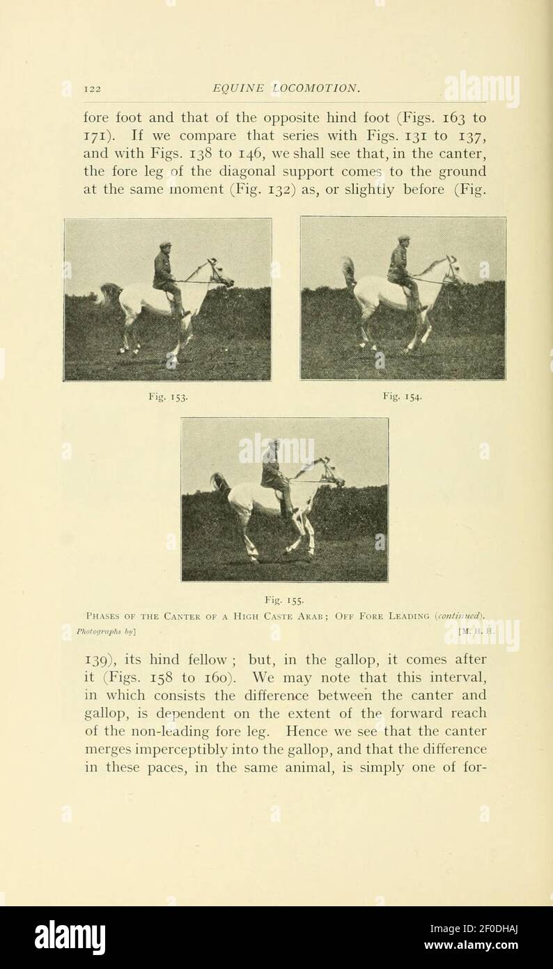 Points of the horse (Page 122 Stock Photo - Alamy