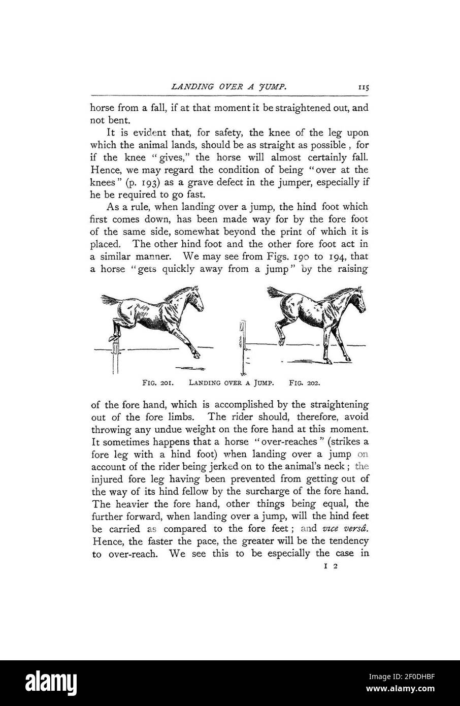 Points of the horse (Page 115 Stock Photo - Alamy