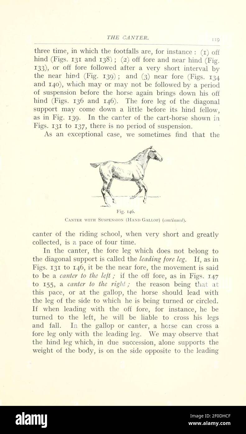 Points of the horse (Page 119 Stock Photo - Alamy