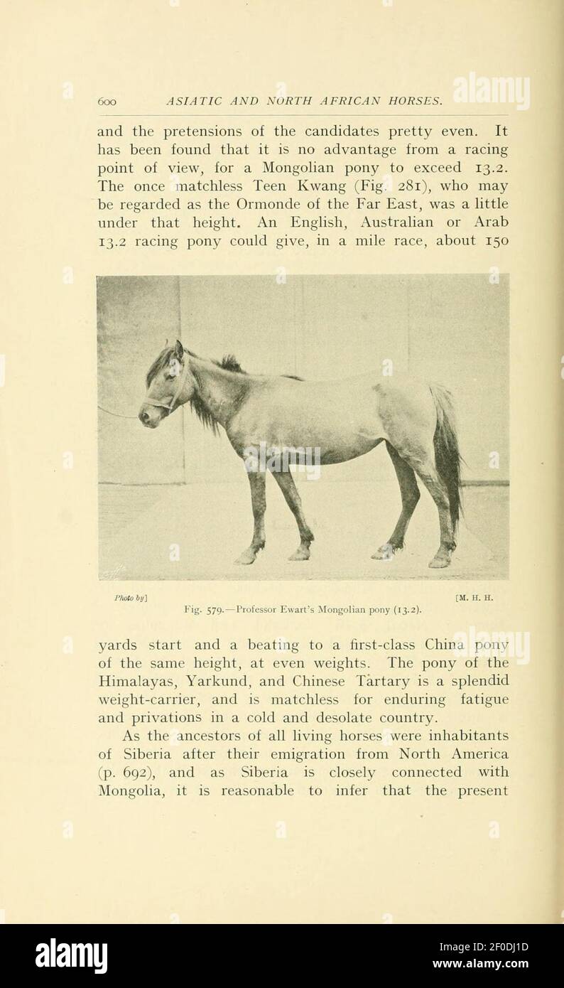 600 points hi-res stock photography and images - Alamy