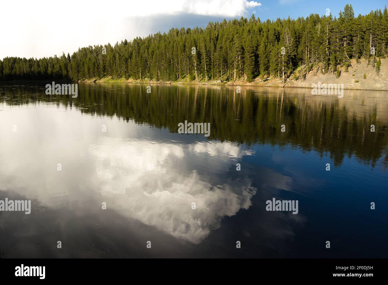 Calm Yellowstone River High Cloud Reflection National Park Stock Photo ...
