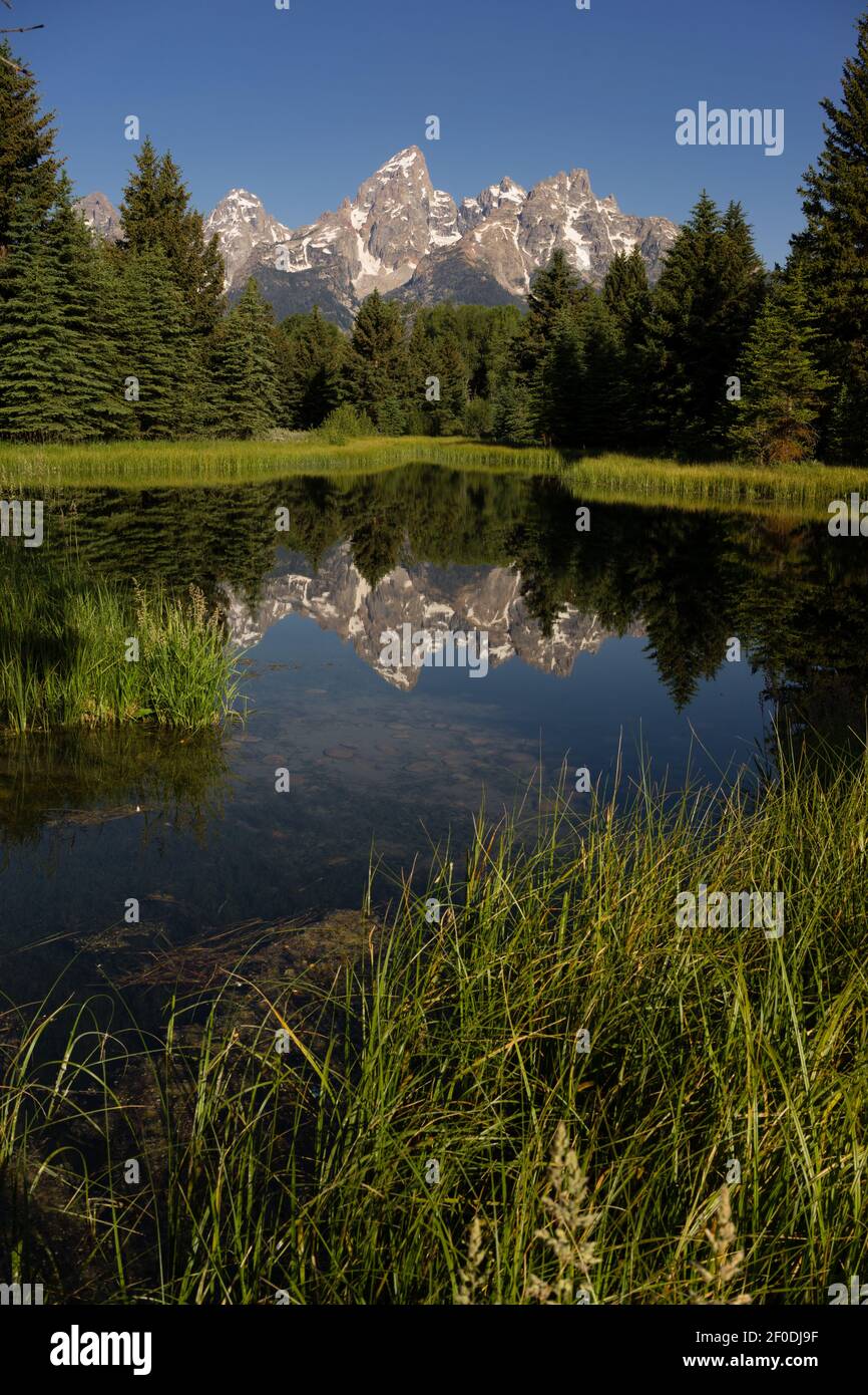 Mountains Reflected Smooth Water Grand Teton National Park Stock Photo ...